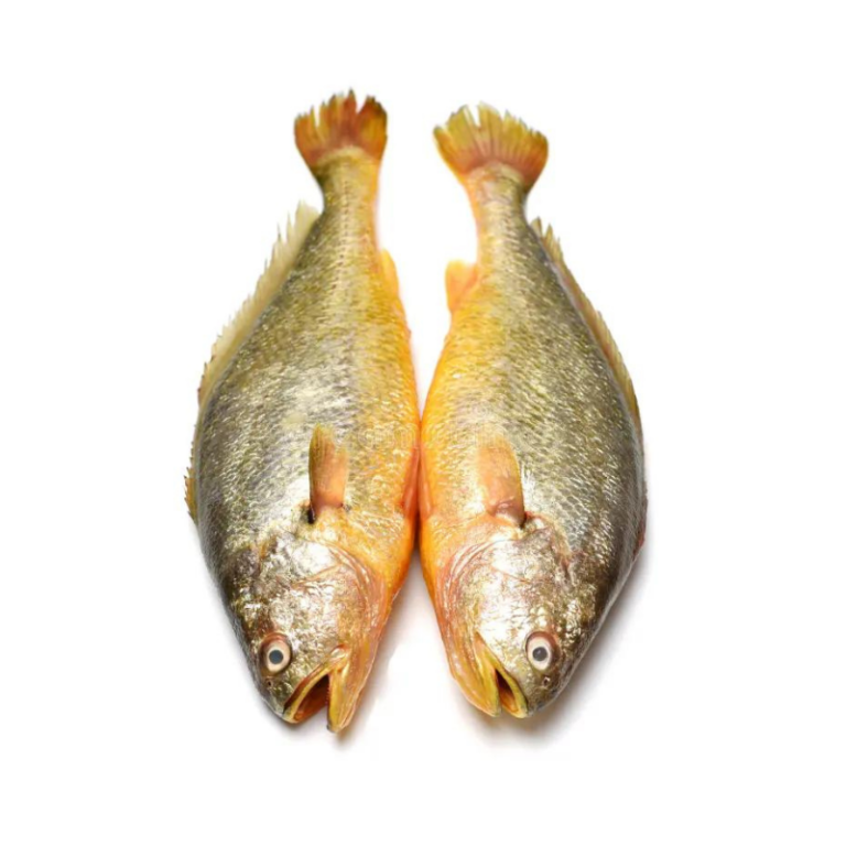 Whole Yellow Croaker (Bag) | GABEST FOODS